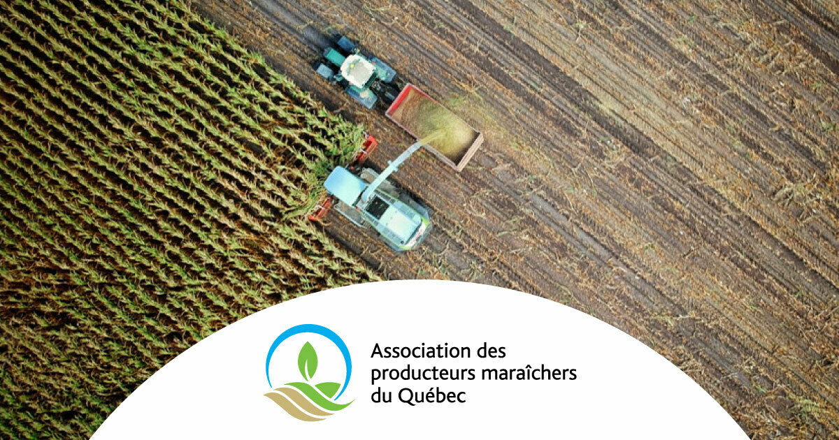 Publications | APMQ